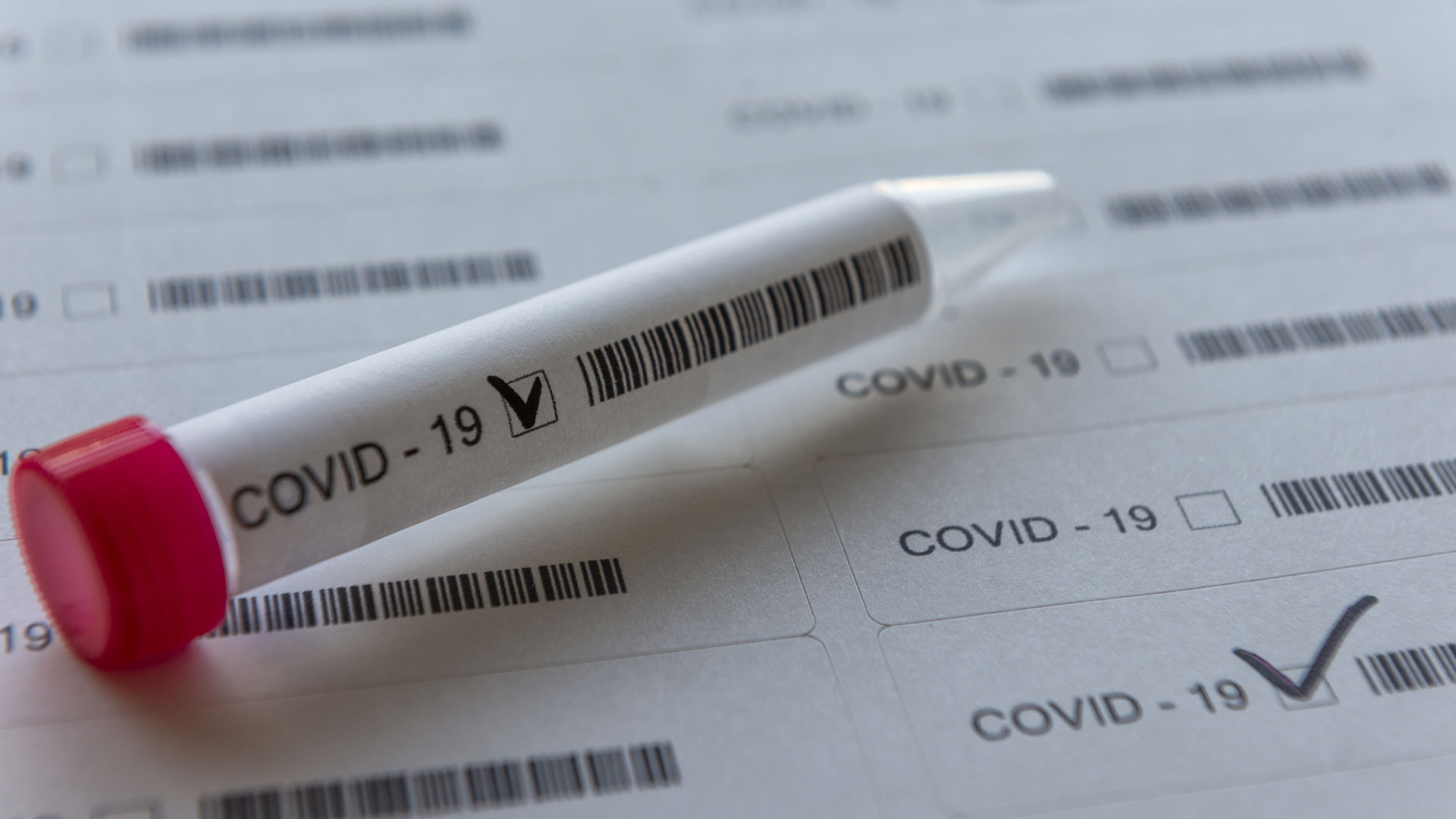 Providing patients results for COVID-19 laboratory tests - Alberta ...