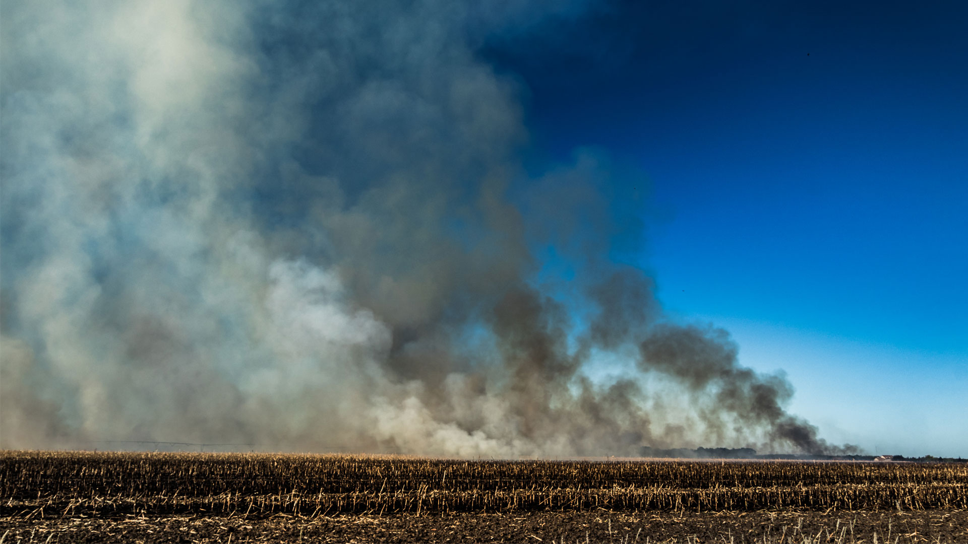 Providing services to Albertans displaced by disasters - Alberta ...